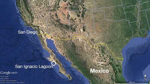 San Ignacio, Baja California – The Guniverse